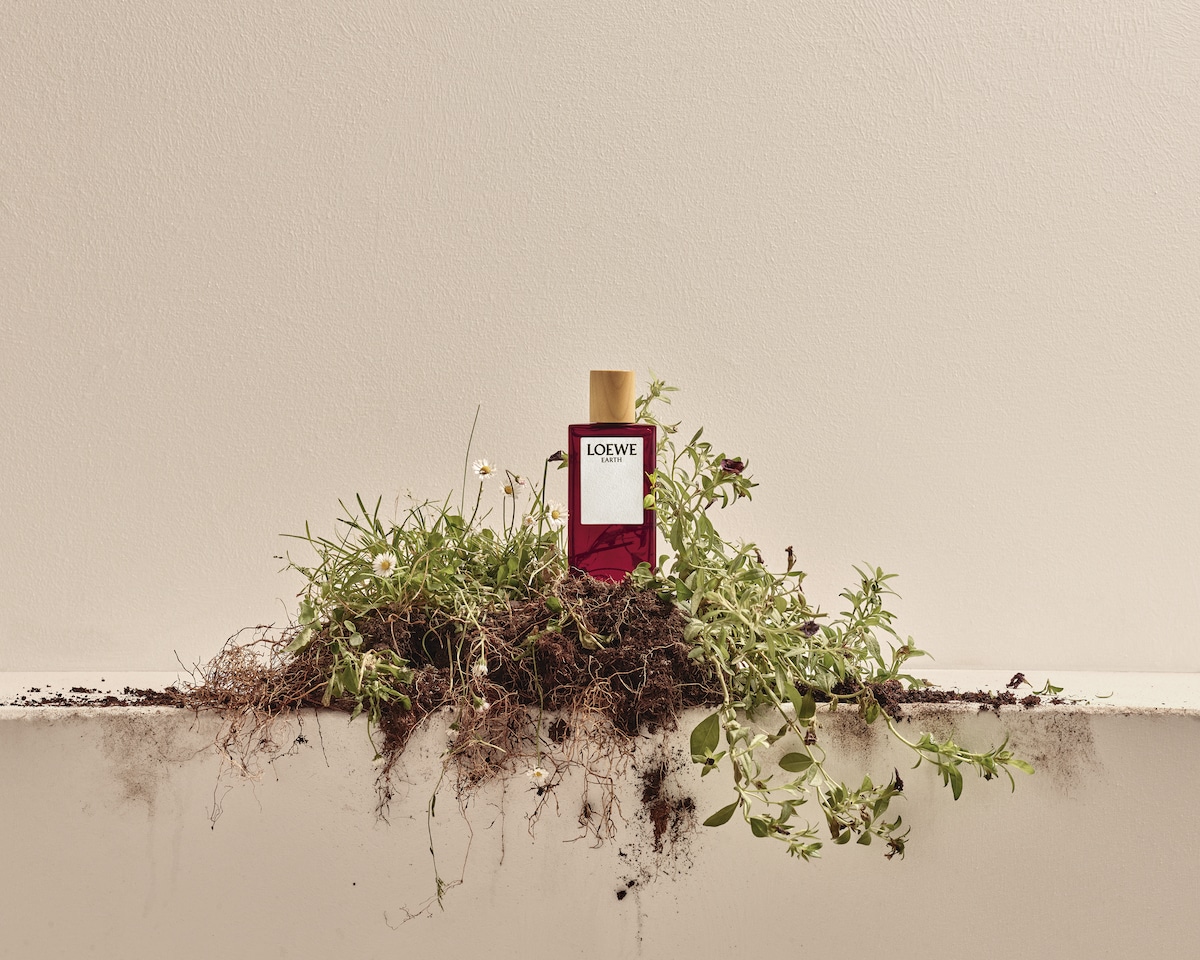 LOEWE Earth Still life_ Plants (1) – VEIN Magazine